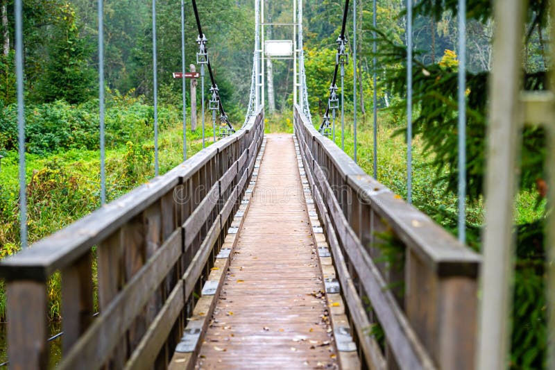 Pedestrian Hanging Bridge Over River in Tropical Forest Stock Photo ...