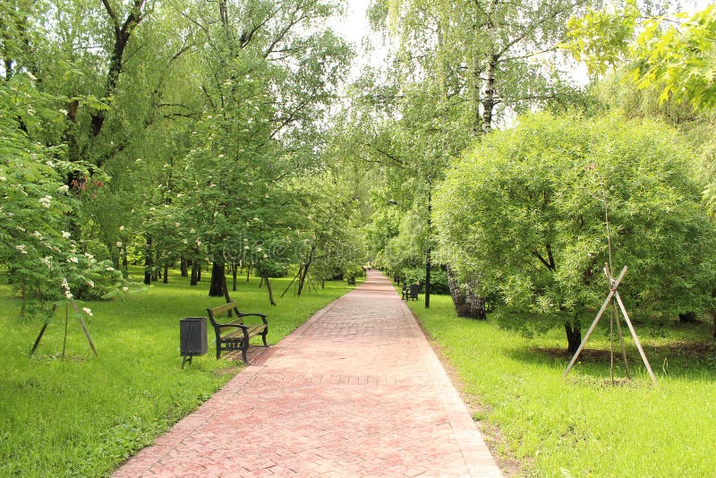 Pedestrian Trail Paved with Paving Stones Stock Image - Image of ...