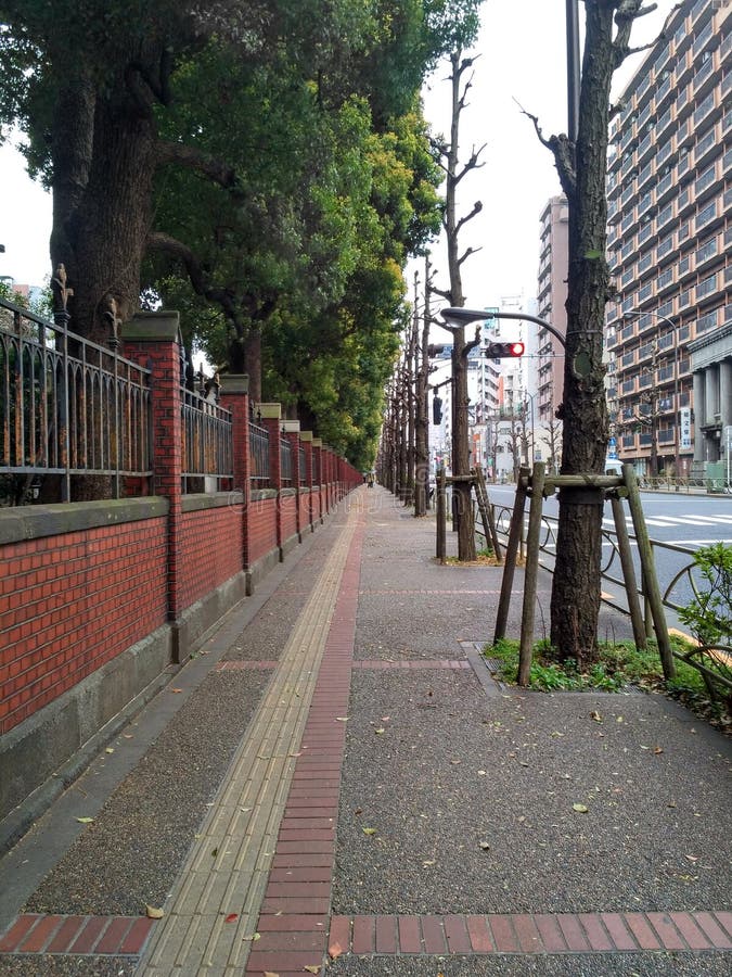 Pedestrian Walk at Front of the Univercity of Tokyo, 2016 Editorial ...