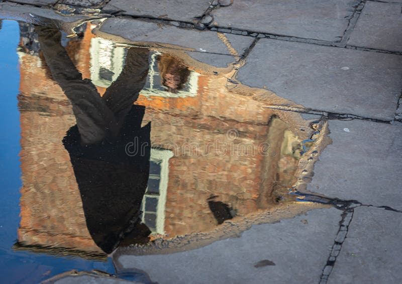 Street Puddle Reflection of Person Stock Photo - Image of road, street ...
