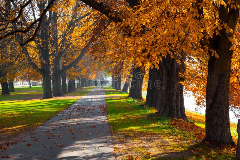 Pedestrian Walkway Sign stock photo. Image of sidewalk - 87691314
