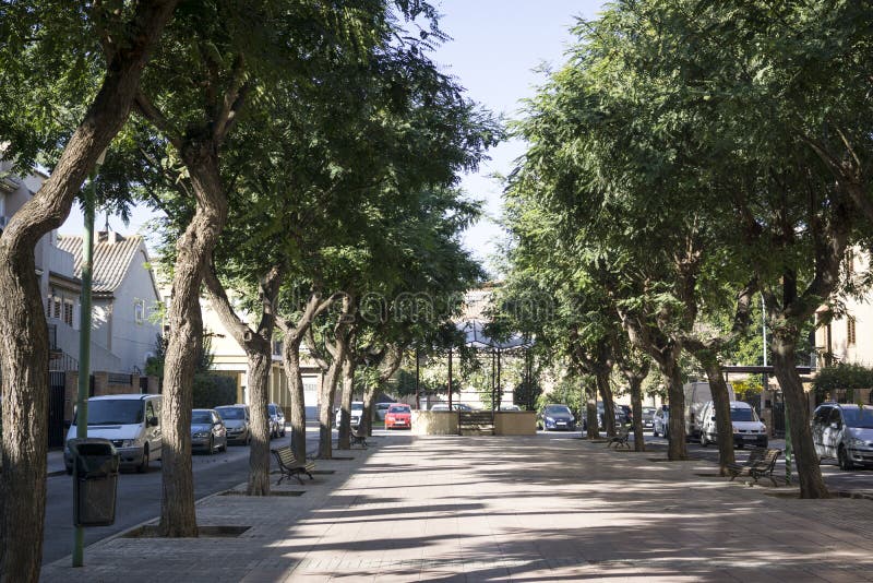 Pedestrian Walkway Full of Trees without People Editorial Photography ...