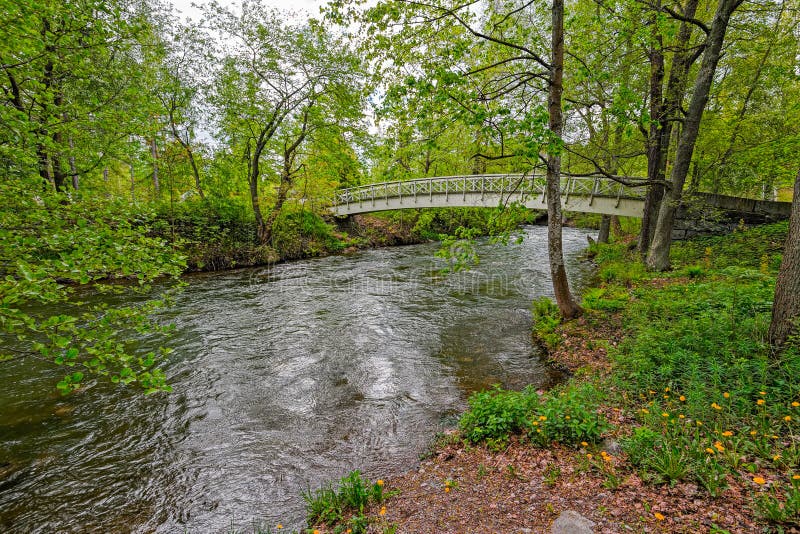 Pedestrian Wooden Bridge Over Stream Stock Photo - Image of forest ...