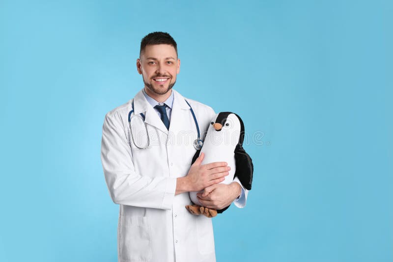 Penguin examination stock photo. Image of island, rocky - 6595320
