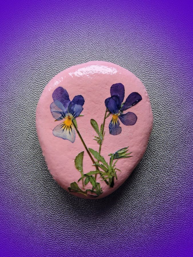 Pedra Cor-de-rosa Com Amor Perfeito Azul Imagem de Stock - Imagem de ...