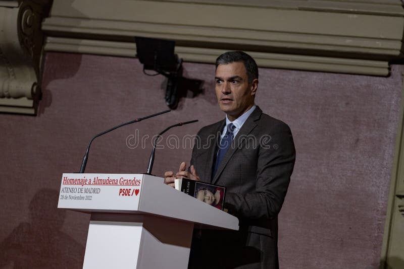 Pedro Sanchez Perez-Castejon. President of the Government of Spain ... Pedro Sanchez Perez-Castejon. President of the Government of Spain ...