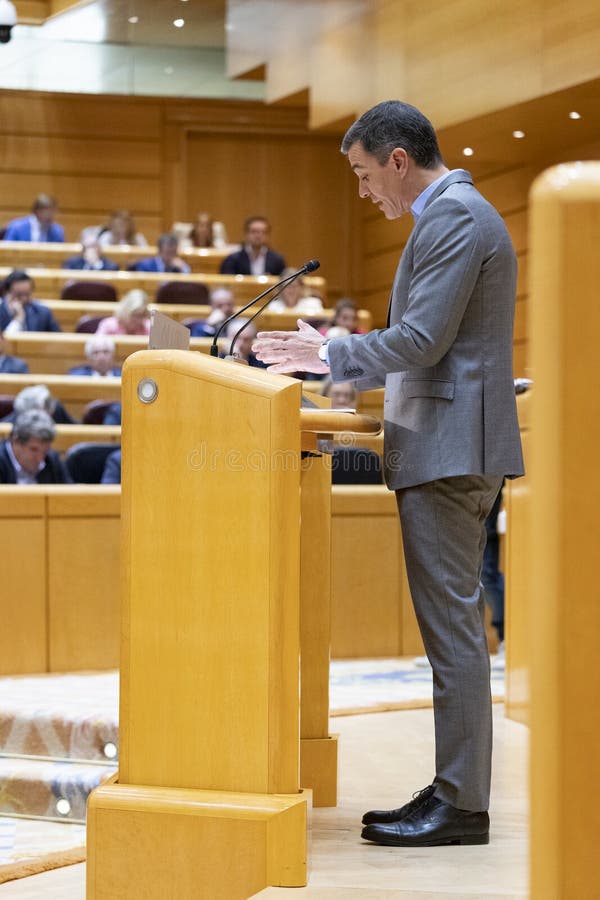 Pedro Sanchez Perez-Castejon. President of the Government of Spain ... Pedro Sanchez Perez-Castejon. President of the Government of Spain ...