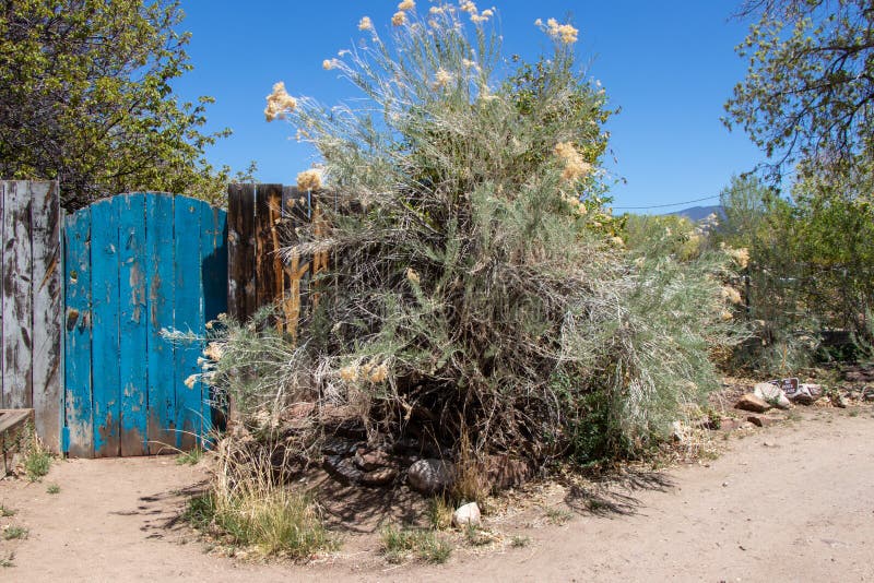 Weathered Garden Gate in the Desert Stock Image - Image of wooden ...