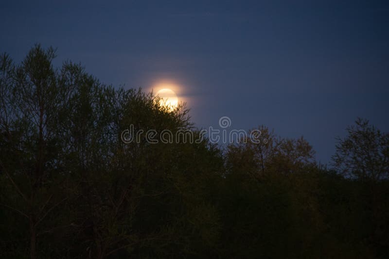 Peek-a-Boo Moon at dusk stock image. Image of peekboo - 181448821