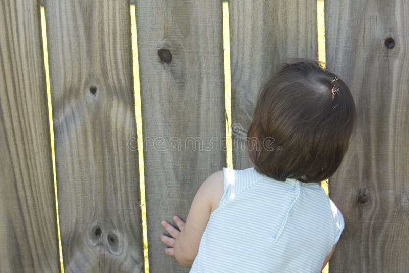 Peeking through the Fence stock image. Image of back - 47249123
