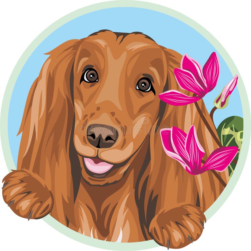 Peeking Happy Cocker Spaniel Dog with Pink Flowers Stock Illustration ...