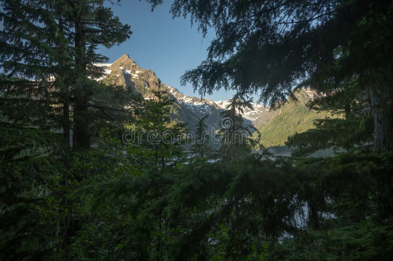 Peeking at Mount Olympus through Pine Trees Stock Image - Image of ...