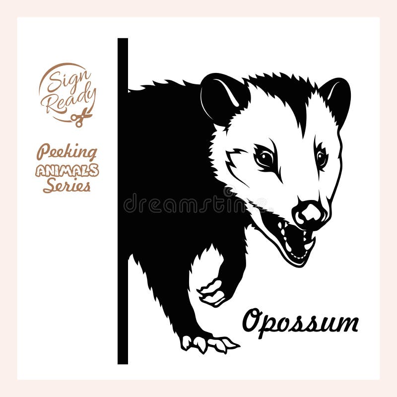 Opossum Stock Illustrations – 1,113 Opossum Stock Illustrations ...