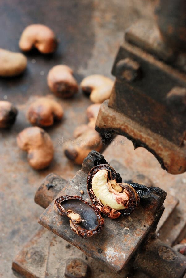 Peel Cashew Shell stock photo. Image of hard, shell, roasted - 73378308