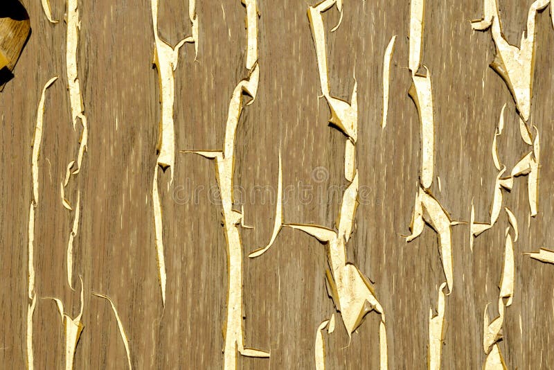 Peel Paint Crack. Weathered Rustic Surface. Dry Paint Overlay. Texture ...