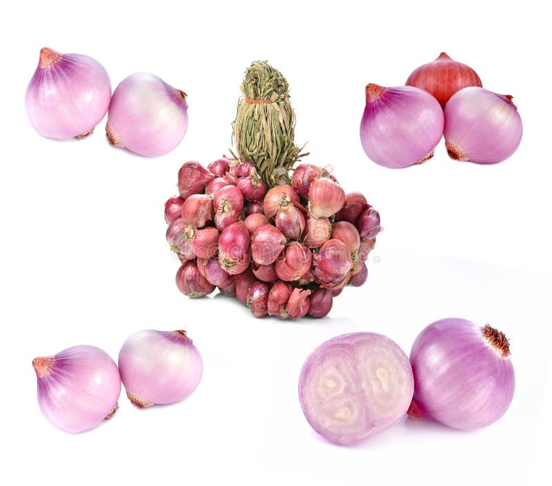 Peel Shallots Isolated on White Background Stock Photo - Image of ...