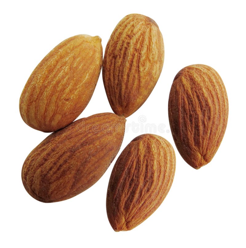 Almonds closeup stock image. Image of macro, nutrition - 23489237