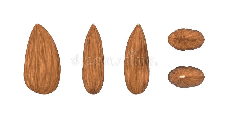 Peeled Almonds and in Half, Leaves and Walnut Lying Side by Side Stock ...