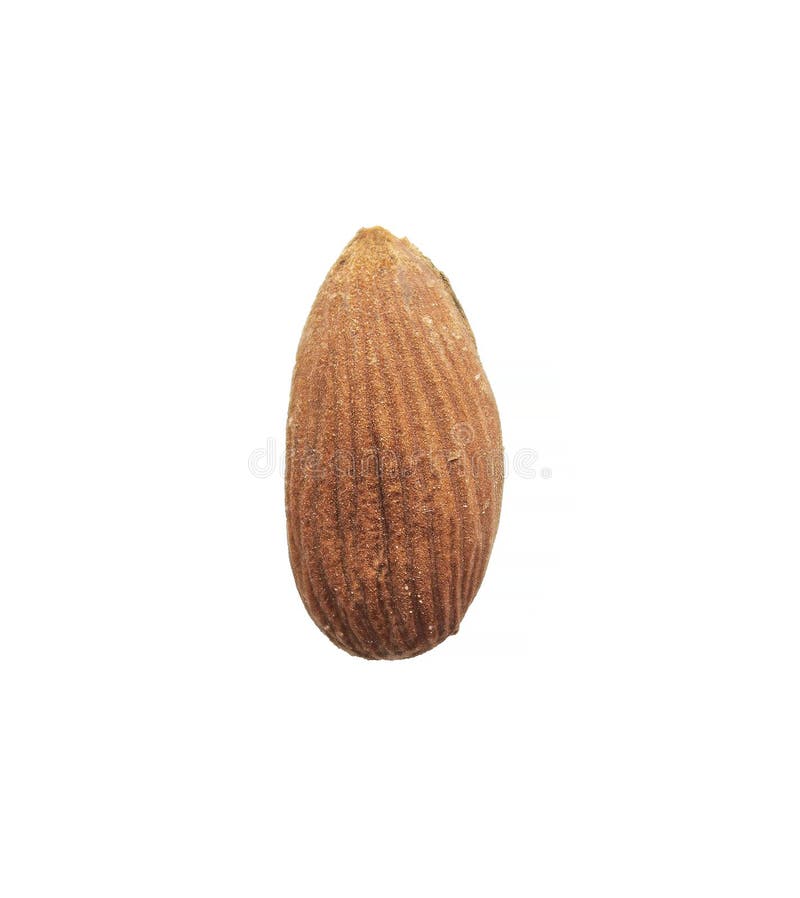 Peeled Almonds on a White Background. Nut without Shell Stock Photo ...