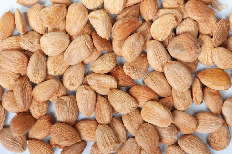 Peeled apricot kernels stock image. Image of culinary - 184187769