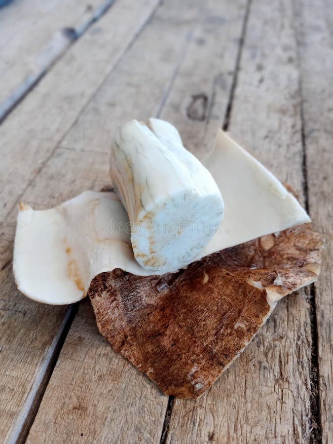 Processed Cassava into Chips or Called Opak Stock Photo - Image of ...