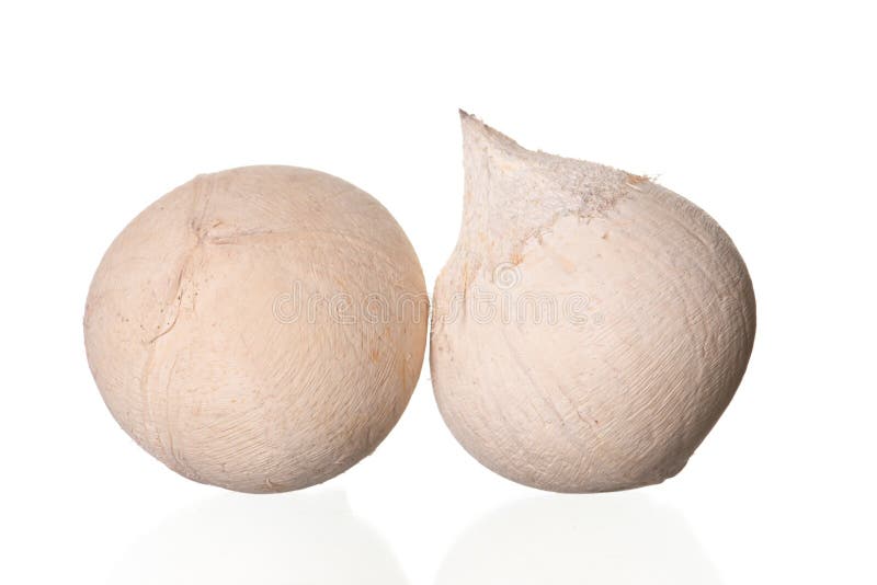 Peeled Coconut Isolated on White Stock Photo - Image of healthy, coco ...