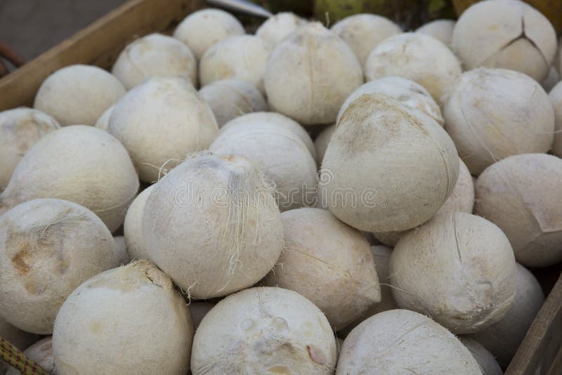 Peeled coconuts stock image. Image of asia, peeled, market - 85527679