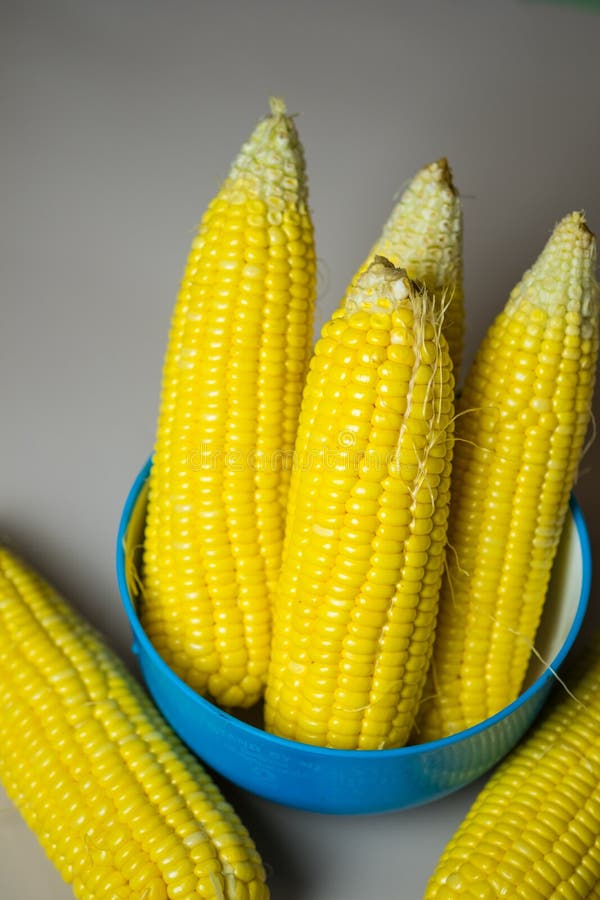 Peeled Corn Ready To Boiled Stock Photo - Image of group, ingredient ...