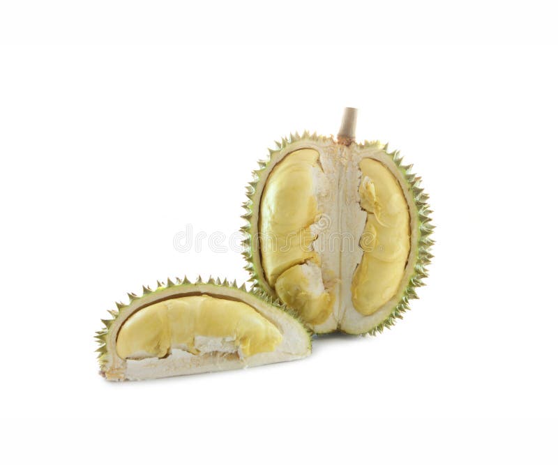 Ripe Durian Isolated on White Background. Stock Image - Image of ...