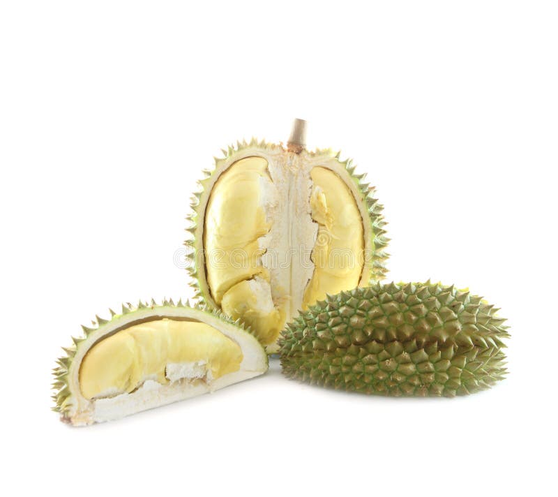 Ripe Durian Isolated on White Background. Stock Image - Image of ...