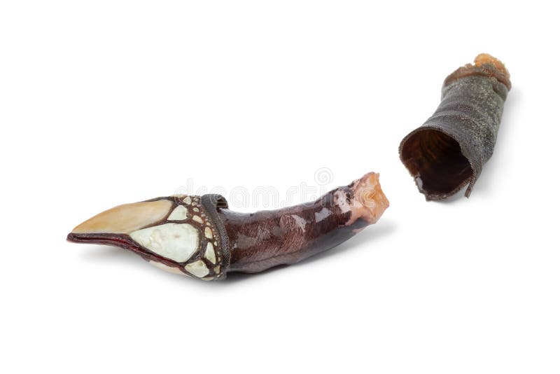 Cooked goose liver stock image. Image of culinary, healthy - 21678919