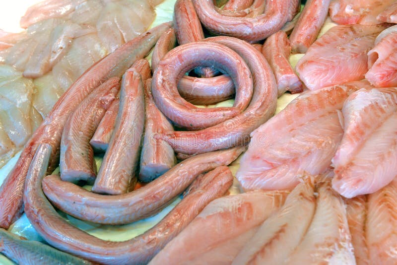 Peeled Fresh Eel on Display Stock Image - Image of food, pompano: 71999027