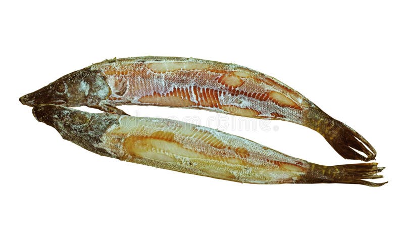 1,080 Frozen Pike Photos - Free & Royalty-Free Stock Photos from Dreamstime