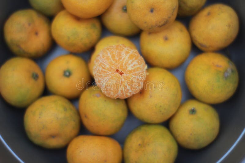 Gerrus Stock Photos - Free & Royalty-Free Stock Photos from Dreamstime