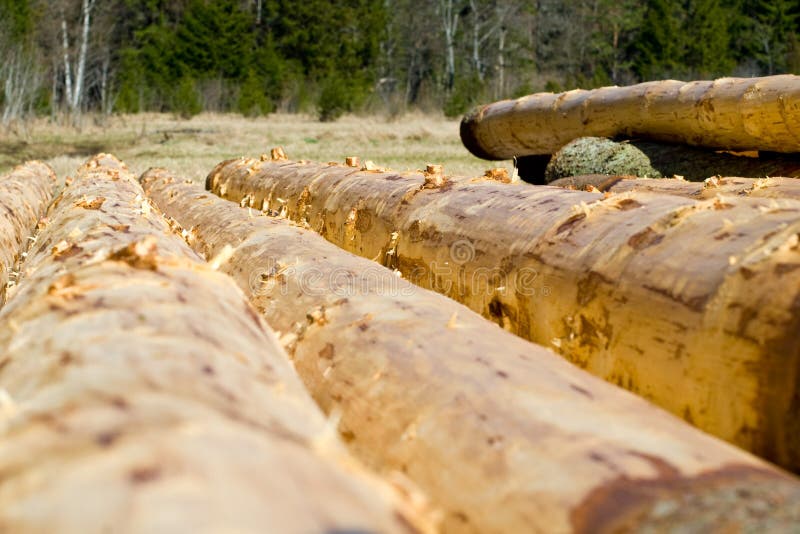 Drying Out New Logs stock image. Image of chopped, outside - 4889195