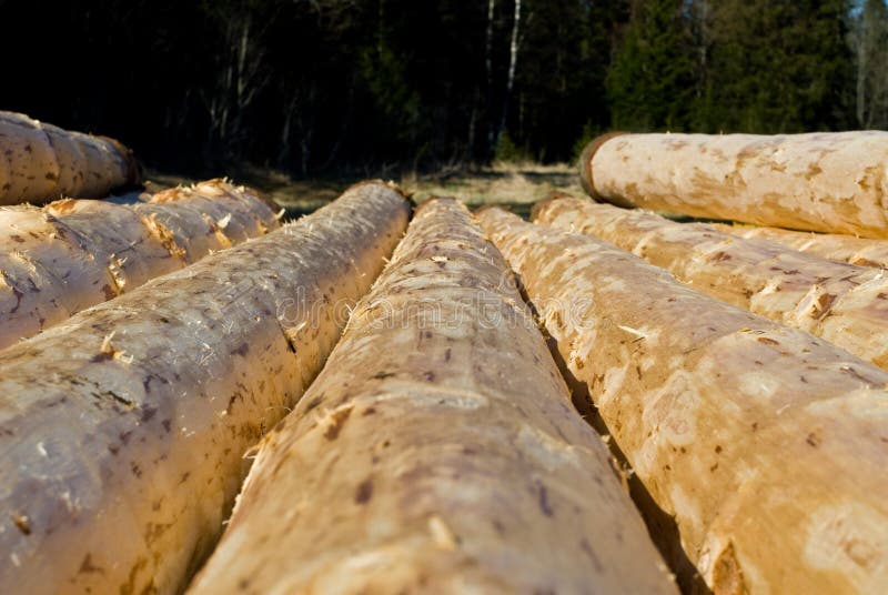 Drying Out New Logs stock image. Image of chopped, outside - 4889195