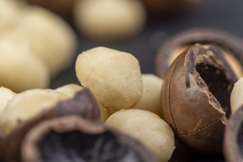 Peeled Macadamia Nuts on the Table Stock Photo - Image of plant, shell ...