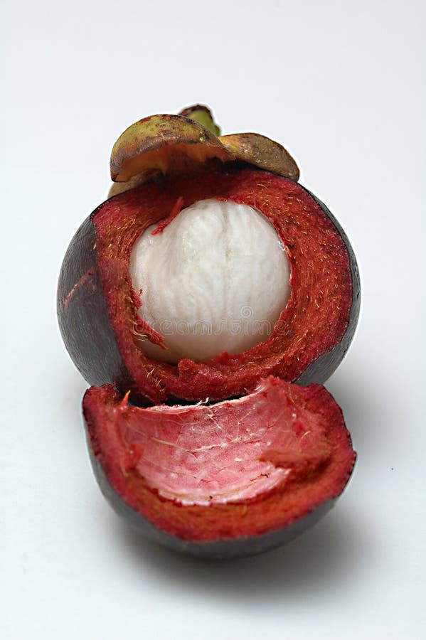 Mangosteens Isolated stock photo. Image of delicious, nature - 9417244