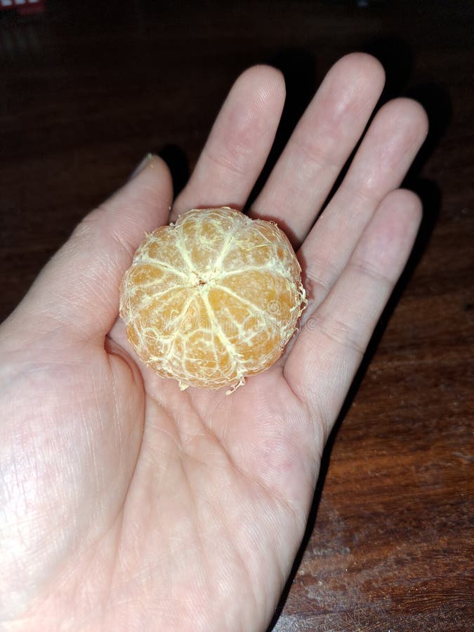 Peeled Mini Mandarin Orange Stock Image - Image of orange, sweet: 266976451