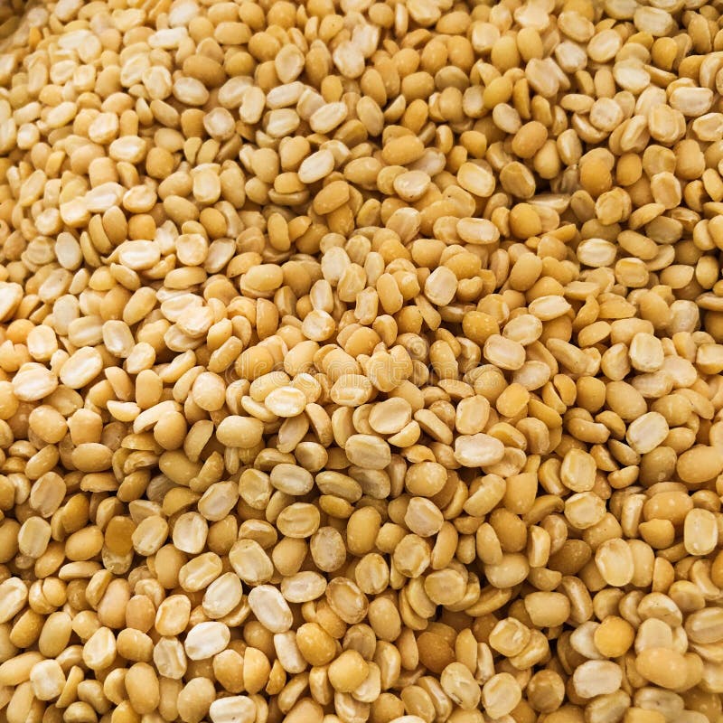 Peeled Mungbean stock photo. Image of seeds, seed, mungbean - 225852330