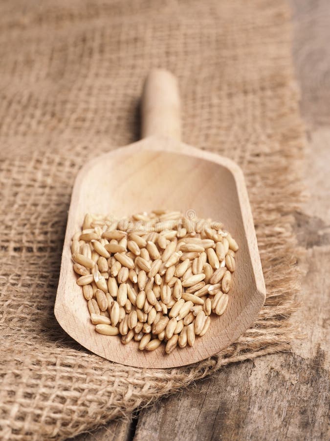 Peeled Oats in a Wooden Shovel Stock Photo - Image of oats, heap: 137836112