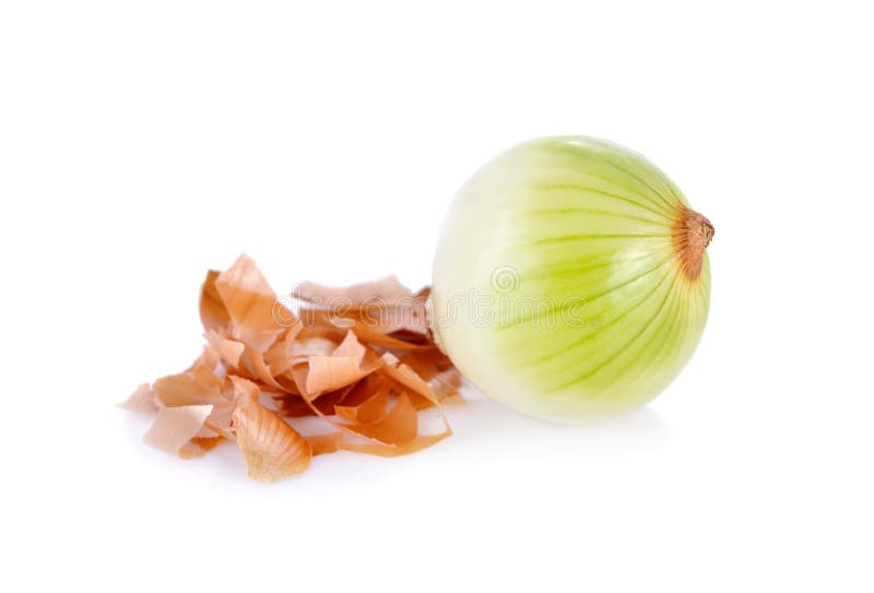 Fresh Peeled Onion Bulb On White Stock Photo - Image of nutrition ...