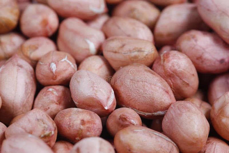 Peeled Peanut Kernels Isolated on a White Background Stock Photo ...