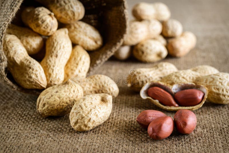 Peeled Peanut on Well Peanuts Stock Photo - Image of peel, nutrition ...
