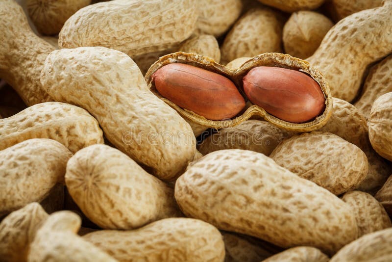 Peeled Peanut on Well Peanuts. Peanuts, for Background or Textures ...