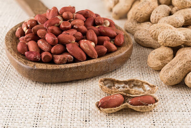 Peanuts stock photo. Image of macro, health, food, nutshell - 107510486