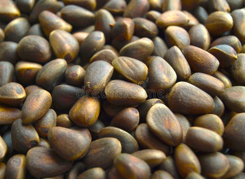 Pine nuts stock image. Image of ingredient, organic - 100486465