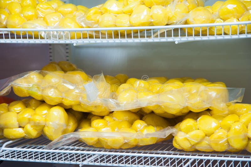 Peeled Potatoes in Vacuum Packaging Stock Image - Image of quick ...