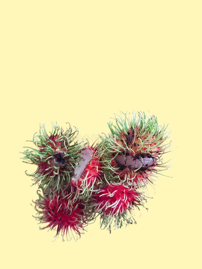 Rambutan Shell Stock Illustrations – 12 Rambutan Shell Stock ...