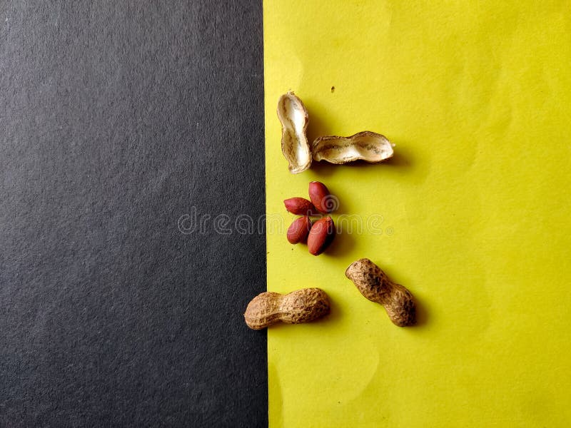 Peeled Red Nuts and Its Shell. Stock Photo - Image of open, organic ...